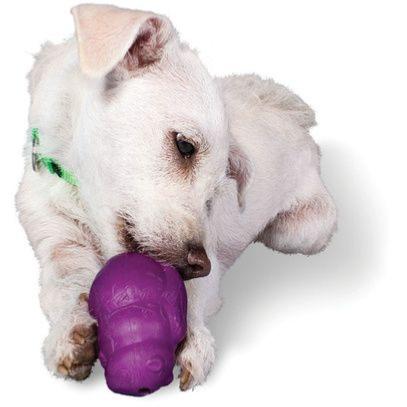 boulesdepoilsetcompagnie.fr-Jouet distributeur de croquettes BUDDY